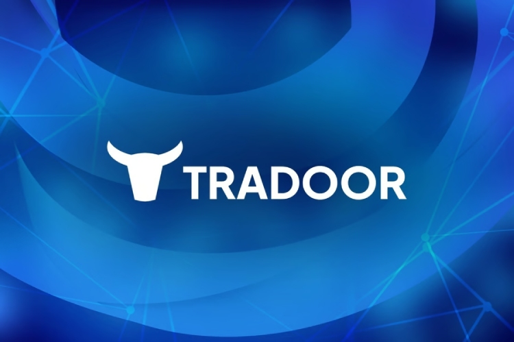 Tradoor(TRADOOR)币是什么?是一个好投资吗?Tradoor代币经济与空投领取指南_阿里西西